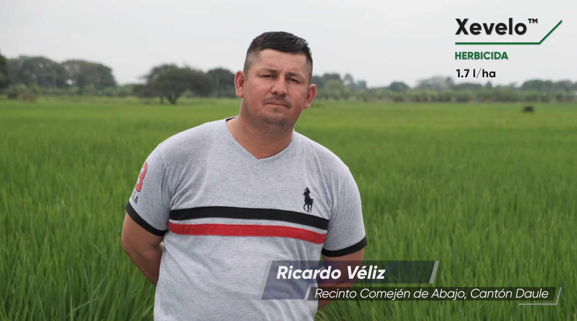 Xevelo™ | Herbicida | Protección de cultivos