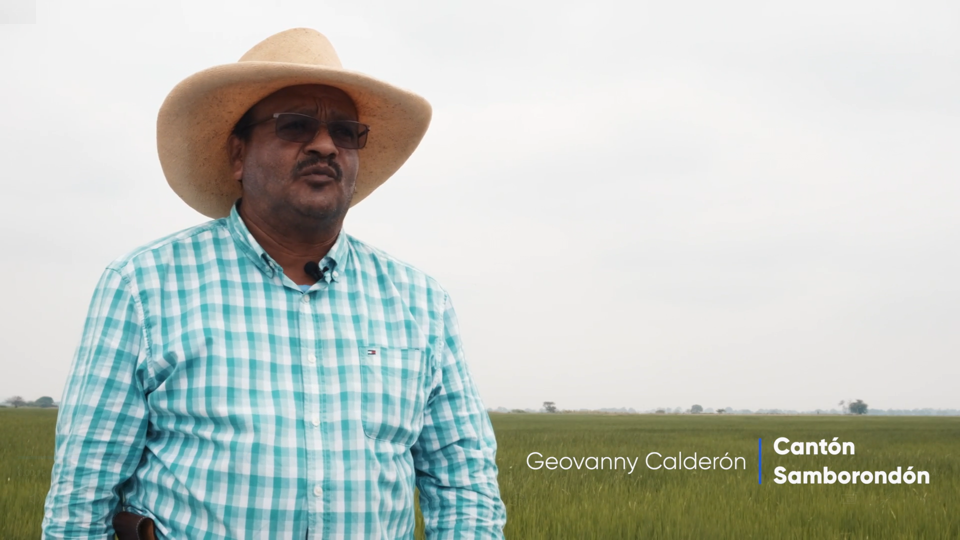 Divixton™ Neo | Herbicida | Protección de cultivos